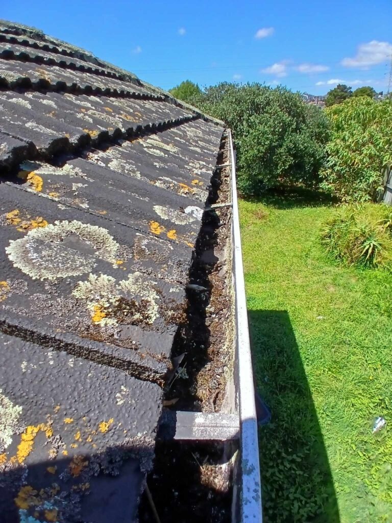 Reliable Gutter Repair Solutions in Auckland